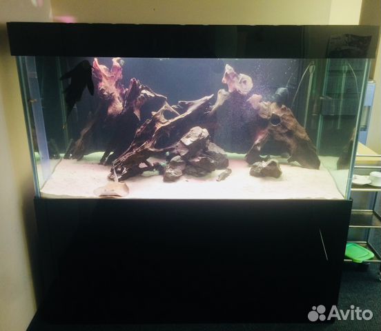 Аквариум 750 л