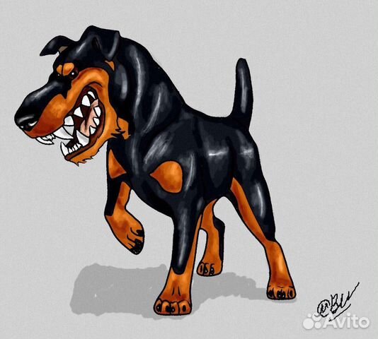 Щенки Ягдтерьера