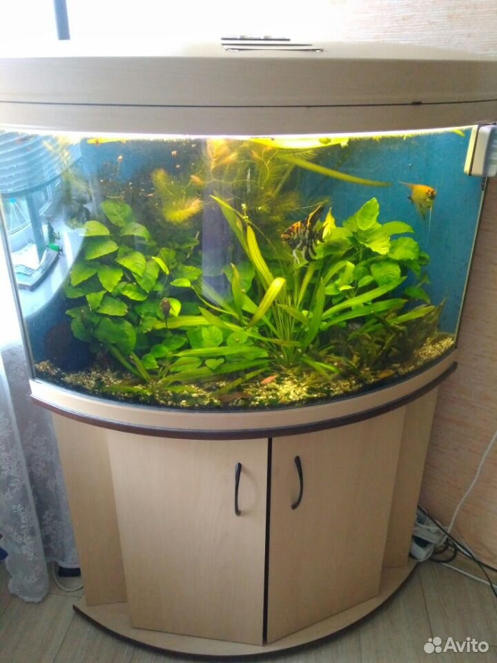 Угловой аквариум Jebo R470