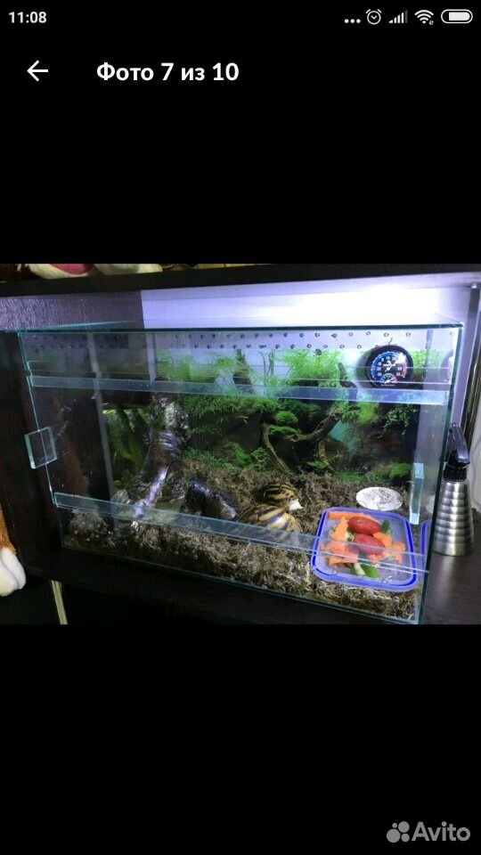 Террариумы для улиток