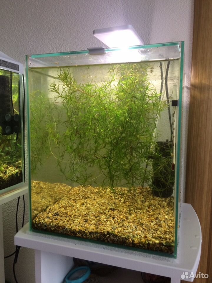 Аквариум Aquael 30 л