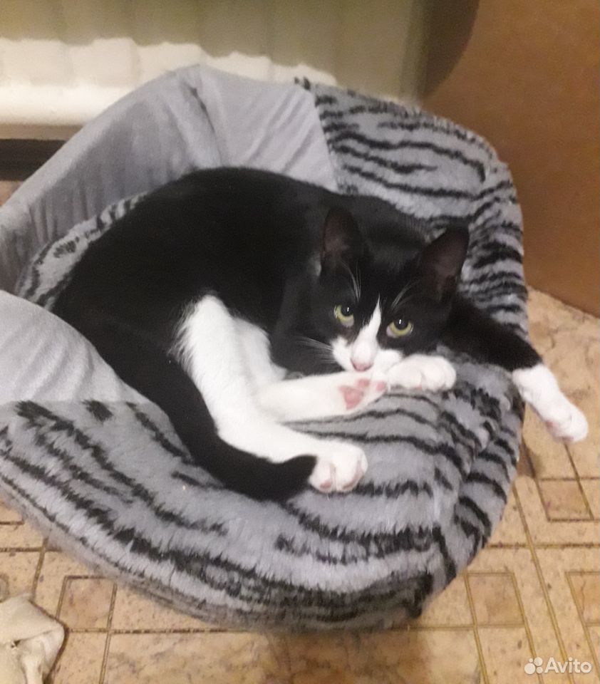 Маруся,4 месяца