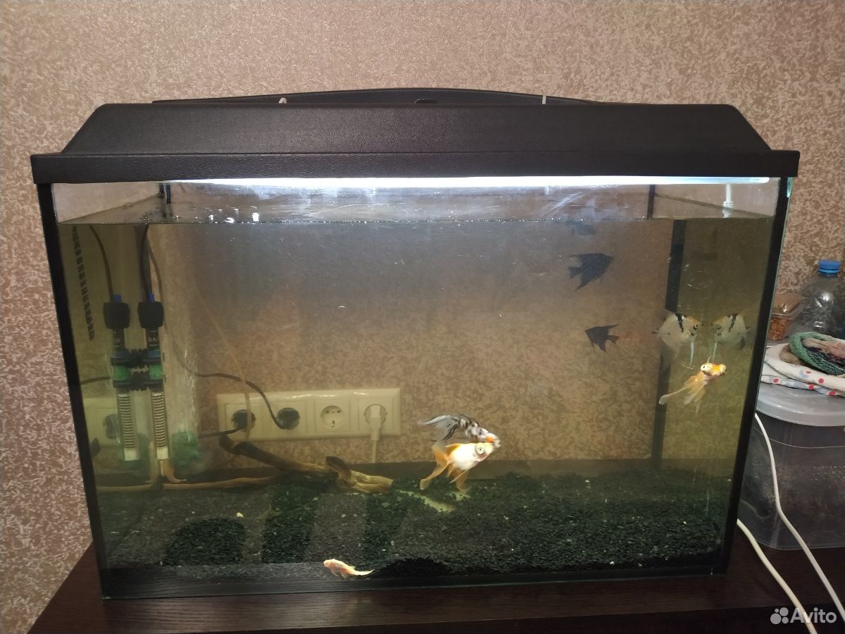Продажа аквариума 120 л декорации и принадлежности