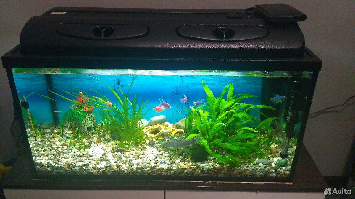 Аквариум 120 литров