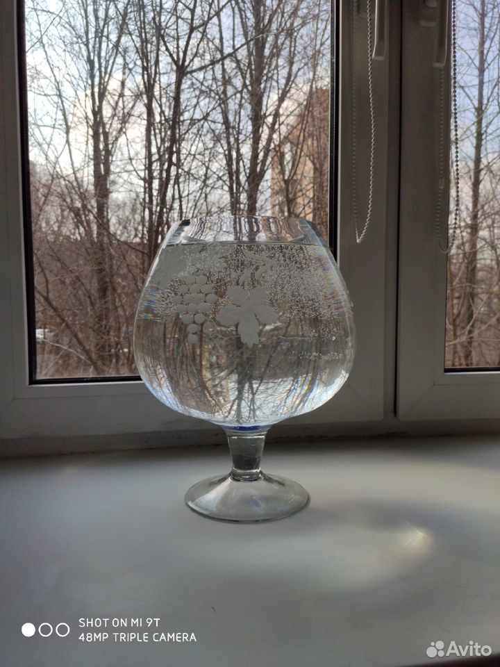 Аквариум, для петушка, или отсадник, для мальков