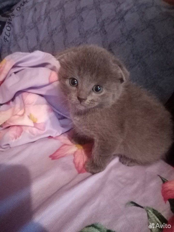 Маленькая кнопка