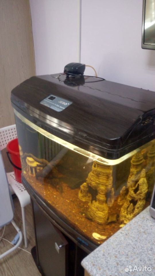 Аквариум с рыбками