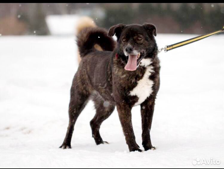 Крошка Бонечка чудесным людям