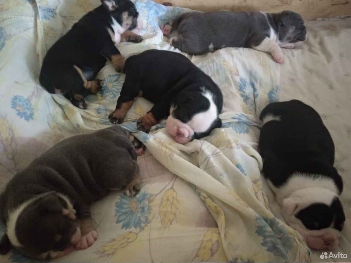 Нам 3 недельки) для предварительного резерва