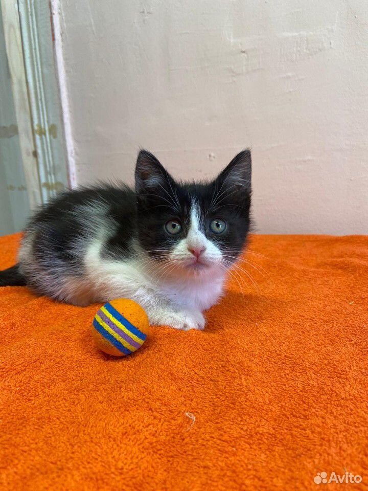 Малышка Бусинка хочет домой