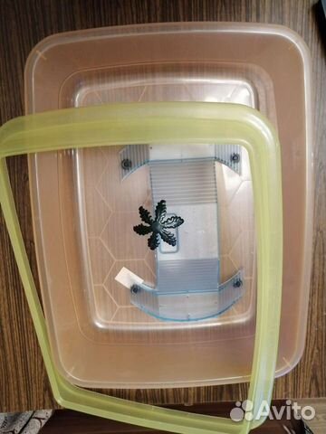 Черепашник