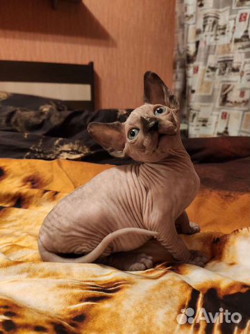 Крошка- малышка