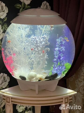 Аквариум