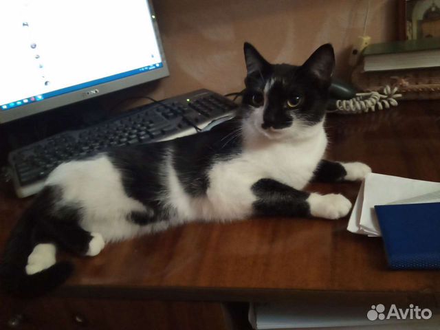 Девочка подросток 5 мес ласковая нежная и добрая