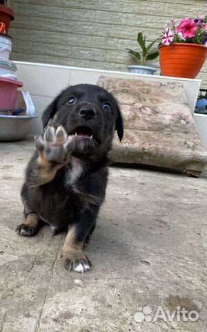 Мальчишка ищет семью