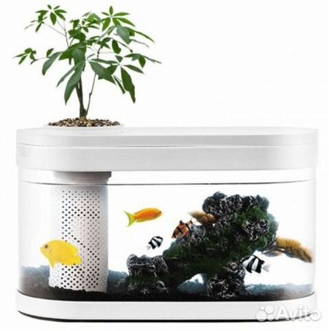Умный аквариум Акваферма Xiaomi Lucky Amphibious