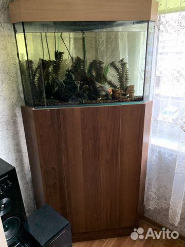 Продам аквариум с рыбками и декором
