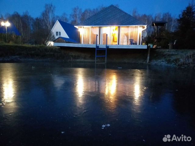 Золотой карась в пруд