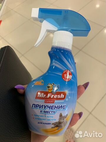 Приучение к месту