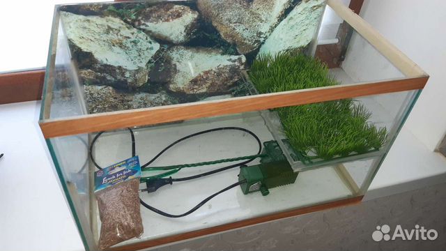 Террариум для красноухой черепахи