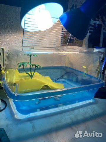 Акватеррариум для черепахи