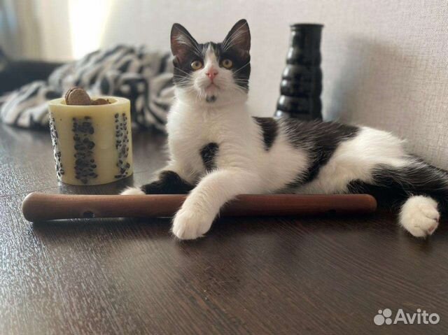 Снежана
