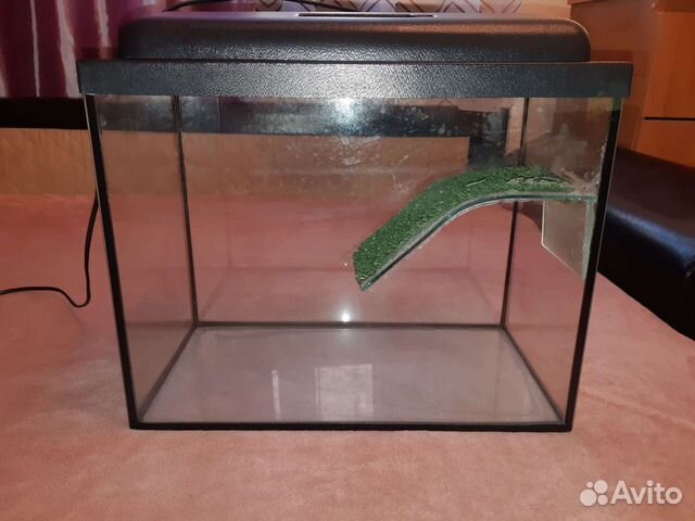 Черепашник