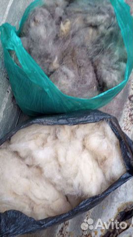 Собачья шерсть