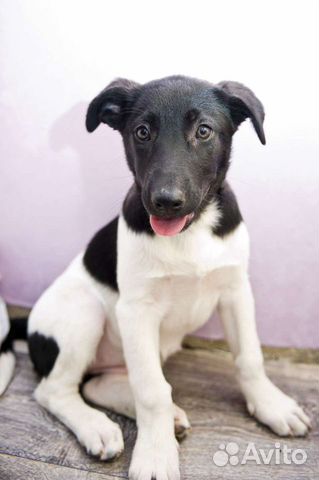 Девочка красавица и умница