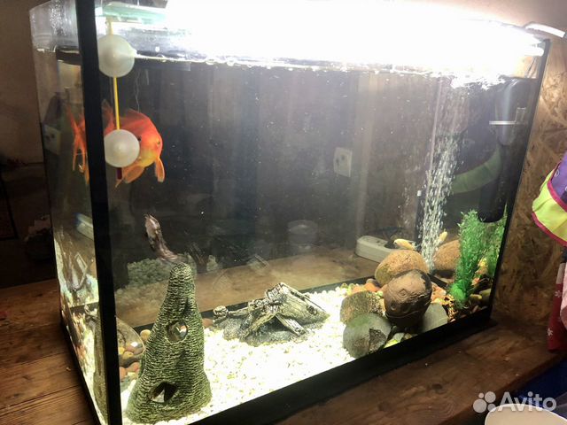 Аквариум