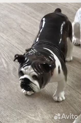 Английский бульдог