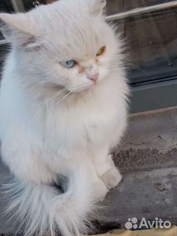 Несчастный ребенок