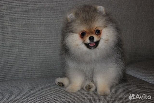 Милая малышка