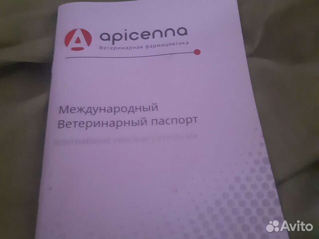 Щенки хаски