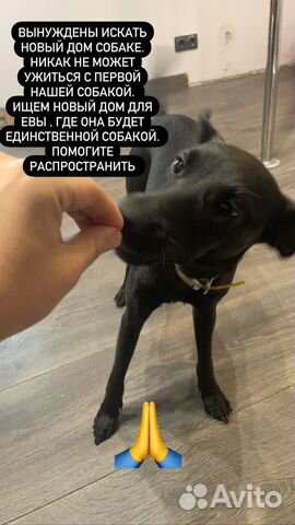 Девочка Ева