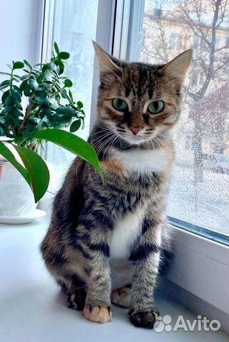Милейшая, молоденькая девочка