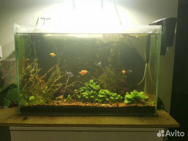 Аквариум, рыбки, оборудование для аквариума