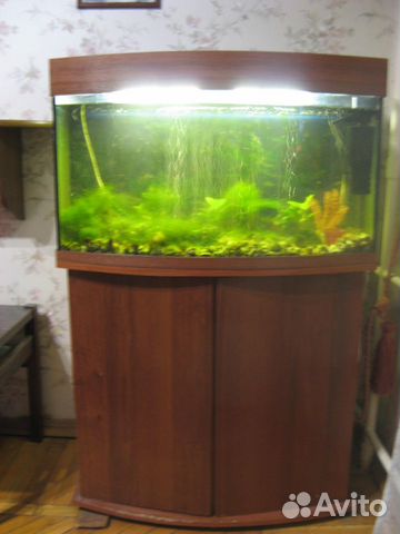 Аквариум панорамный 160л с тумбой раб