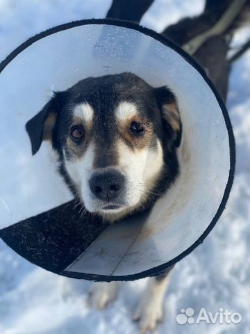 Очень нужна ваша помощь