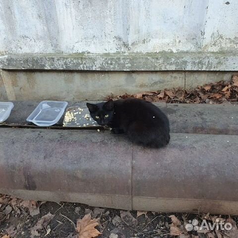 Руководство предприятия грозится отравить малыша