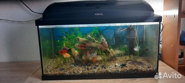 Аквариум под ключ