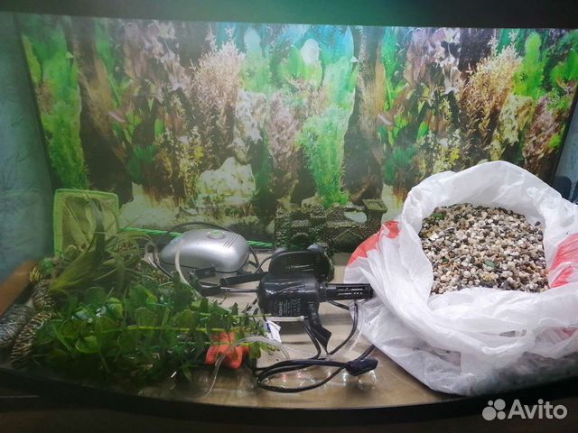 Аквариум