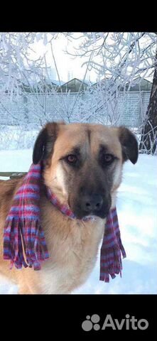 Купер, но не Брэдли, ищет семью