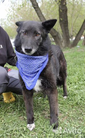 Луиза ждёт свою маму в приюте