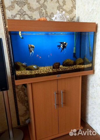 Аквариум + фильтр + рыбки + все расходники