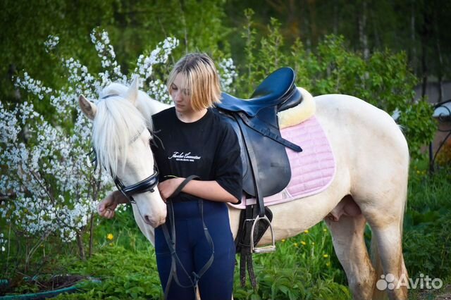 Молодой райд пони