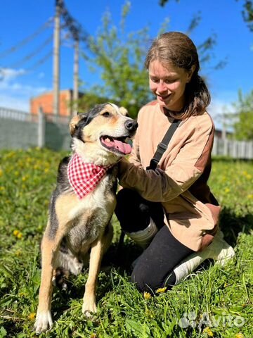 Конор чудесный пес