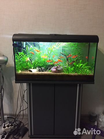 Аквариум Aquael Brillux bio 80