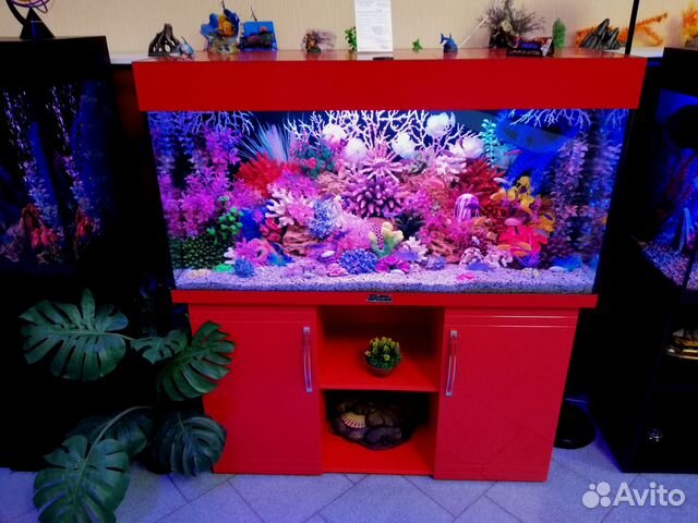 Шикарный Аквариум - комплекс на 337 литров