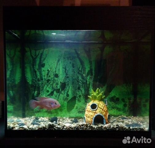 Аквариум с подсветкой + рыбка, камешки, домик